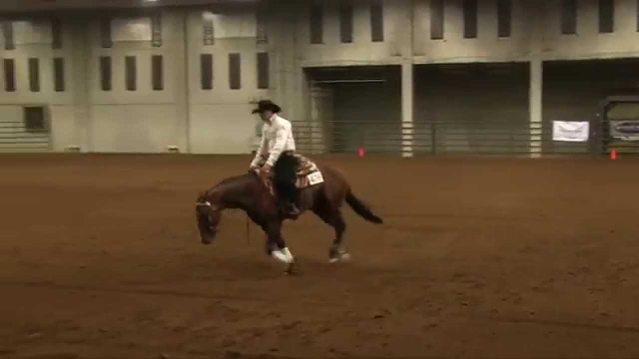 Nicola Brunelli - Saint Nick - NRHA Open Futurity - YouTube