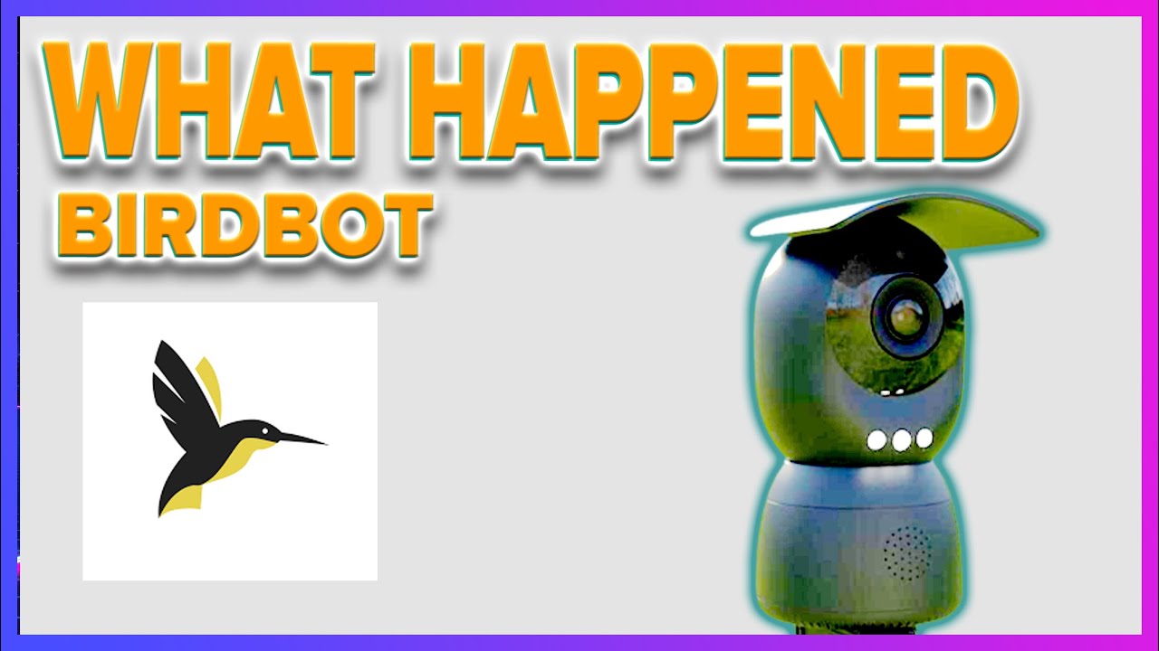 What Happened to Bird Bot? - YouTube
