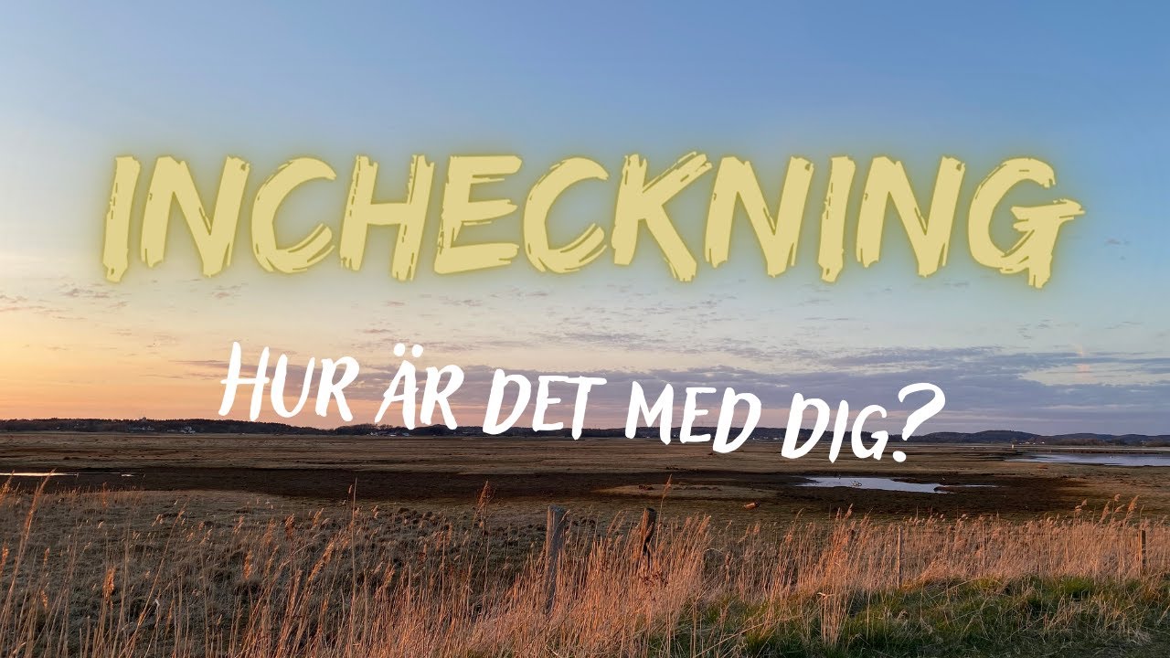Incheckning, kort sittande meditation | Livs Mindfulness - YouTube