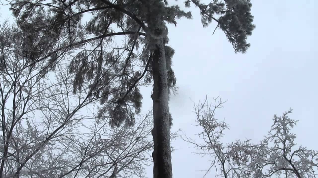 Ice Storm in Augusta, GA 2014 - YouTube