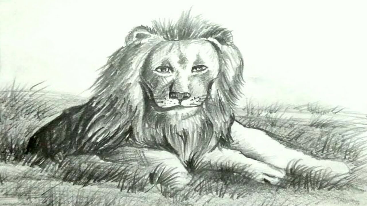 How to draw lion step by step | easy tutorials for beginners. - YouTube