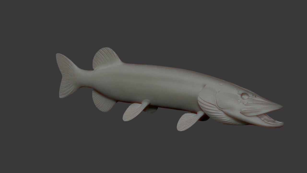 Pike - 3D - model - high resolution - YouTube