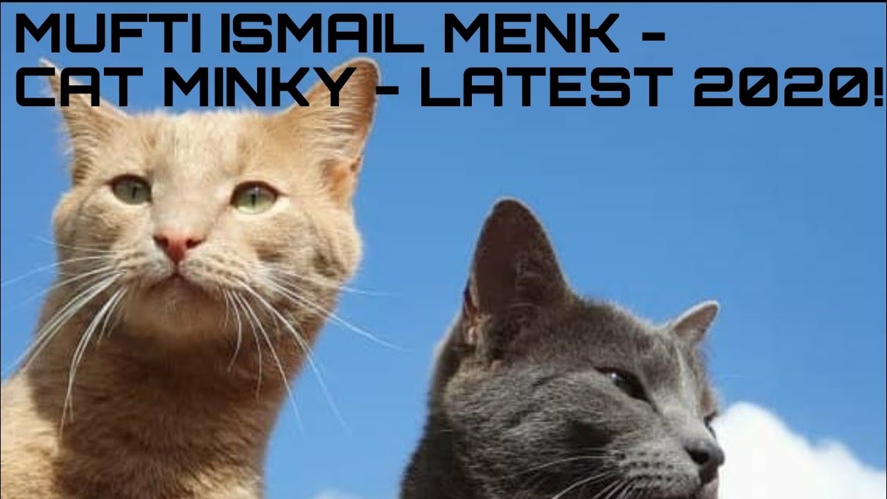 MUFTI ISMAIL MENK - CAT MINKY - LATEST 2020! - YouTube