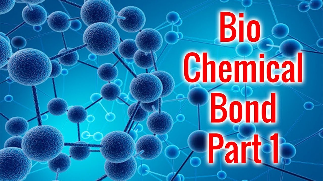 Bio Chemical Bond in Biology | Covalent Bonding and Structural Formulas ...