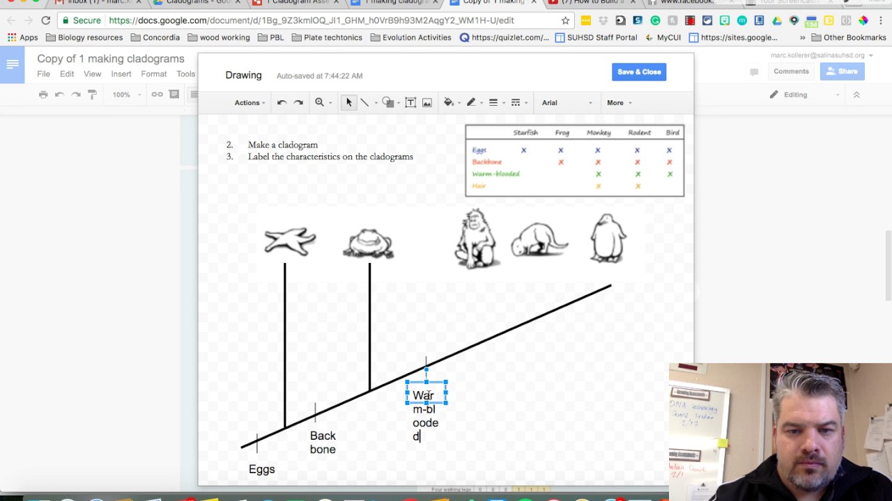 Making a Cladogram - YouTube