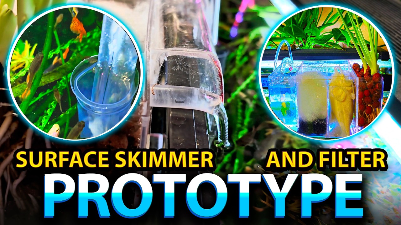 DIY: How to Make a Surface Skimmer, Mini Sump, and Hang-on-Back Filter ...