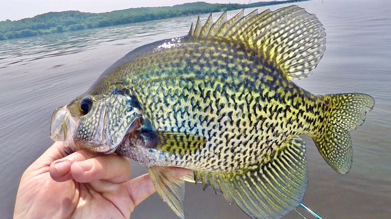 Fishing for BIG Crappie on a GIANT body of water! - YouTube