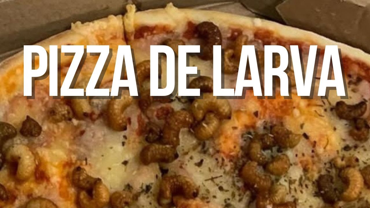 Pizza de gongo, larva de besouro do coco-babaçu, é a novidade ...