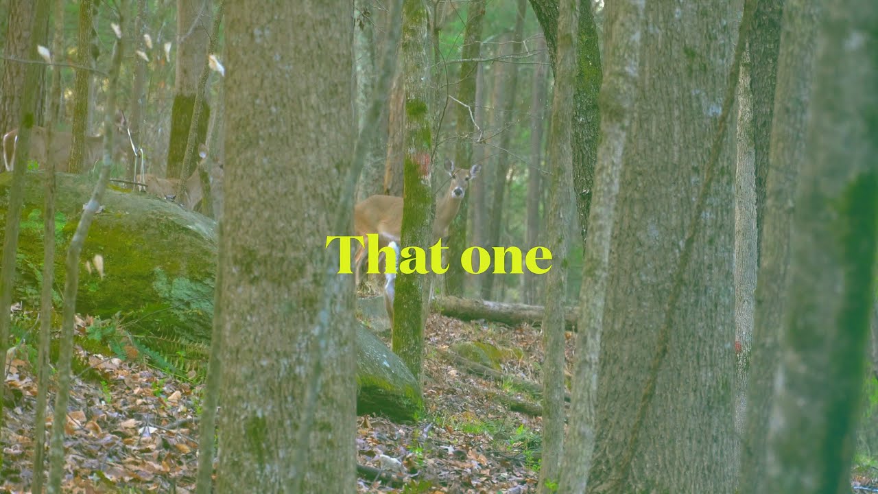 Derrick Cole -That One (official music video)country/rnb - YouTube