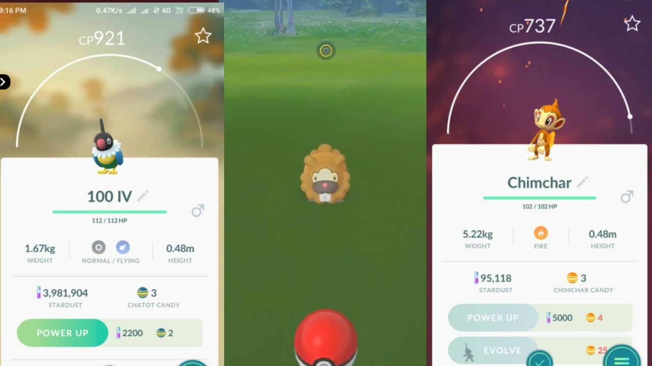 First Bidoof Caught And Evolved In Pokemon Go Gen 4 is out!!! - YouTube
