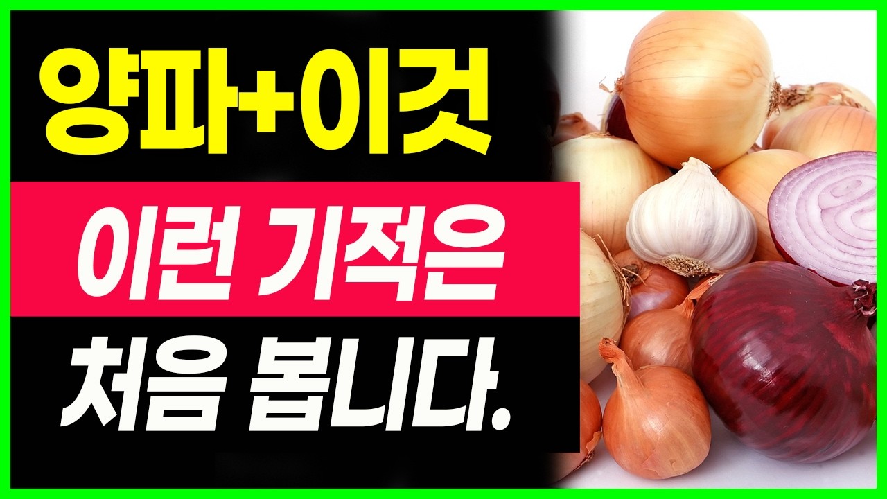 양파와 이것 함께 먹었더니 의사들도 놀란 변화가 일어났어요양파와 상극인 음식 항암식품다이어트식품건강음식양파의 효능