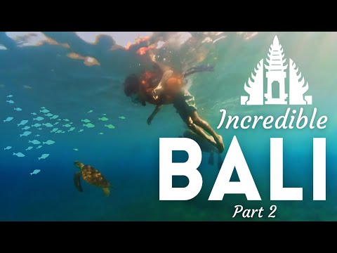 Ultimate BALI Travel Guide: Orangutans, Temples, Snorkeling, and Family Fun #travelwithkids