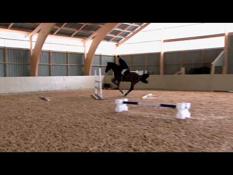 Träning: Hoppa med volt - We Love Horses
