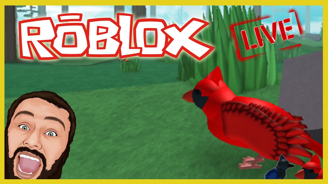 I'M A BIRD - Bird Simulator Roblox & More! (XBOX ONE) Livestream - YouTube
