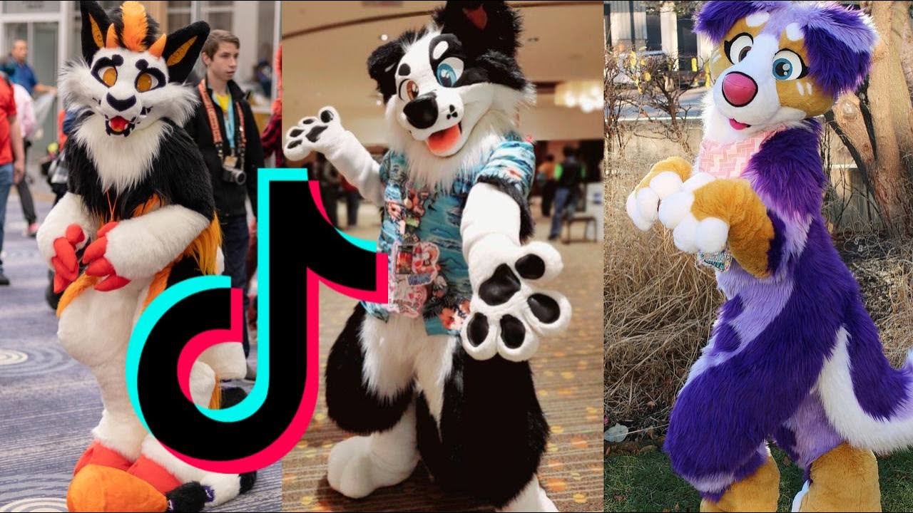 Furry Memes - Dino Mask TikToks Compilation - YouTube
