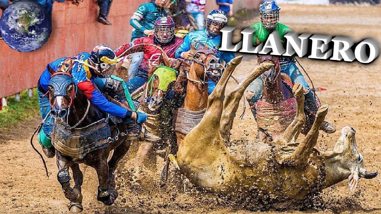 TOP Beautiful Llanero Horse in the World! - YouTube