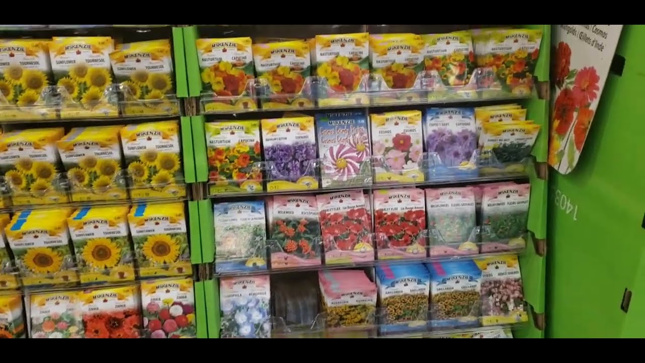 Iba't ibang uri ng mga buto ng gulay, bulaklak at halaman - YouTube