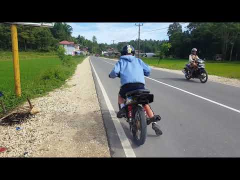 Ngentot bebek std 116