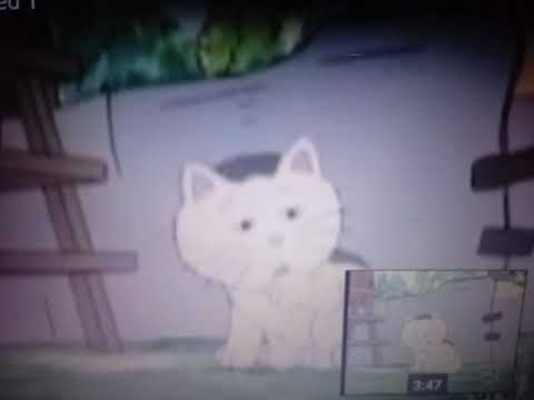 Arthur - Pet Peeved Season 21 - YouTube