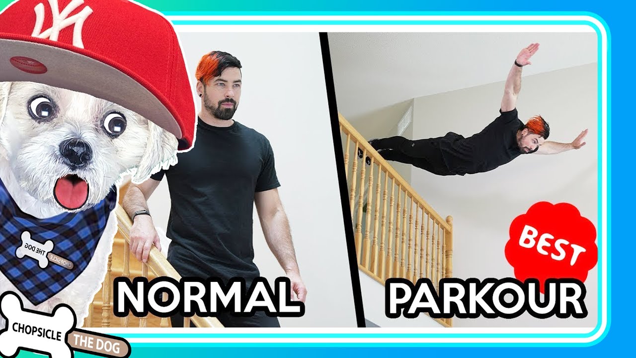 Best of Normal Vs. Parkour - Nick Pro Reaction By Chopsicle The Dog - YouTube