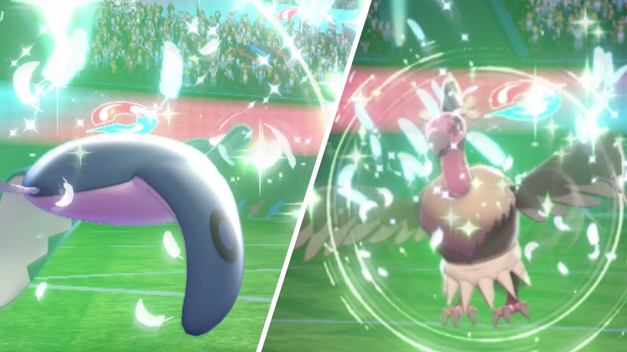 Unkillable Flying Types! Pokemon Sword/Shield Wifi Battle - YouTube