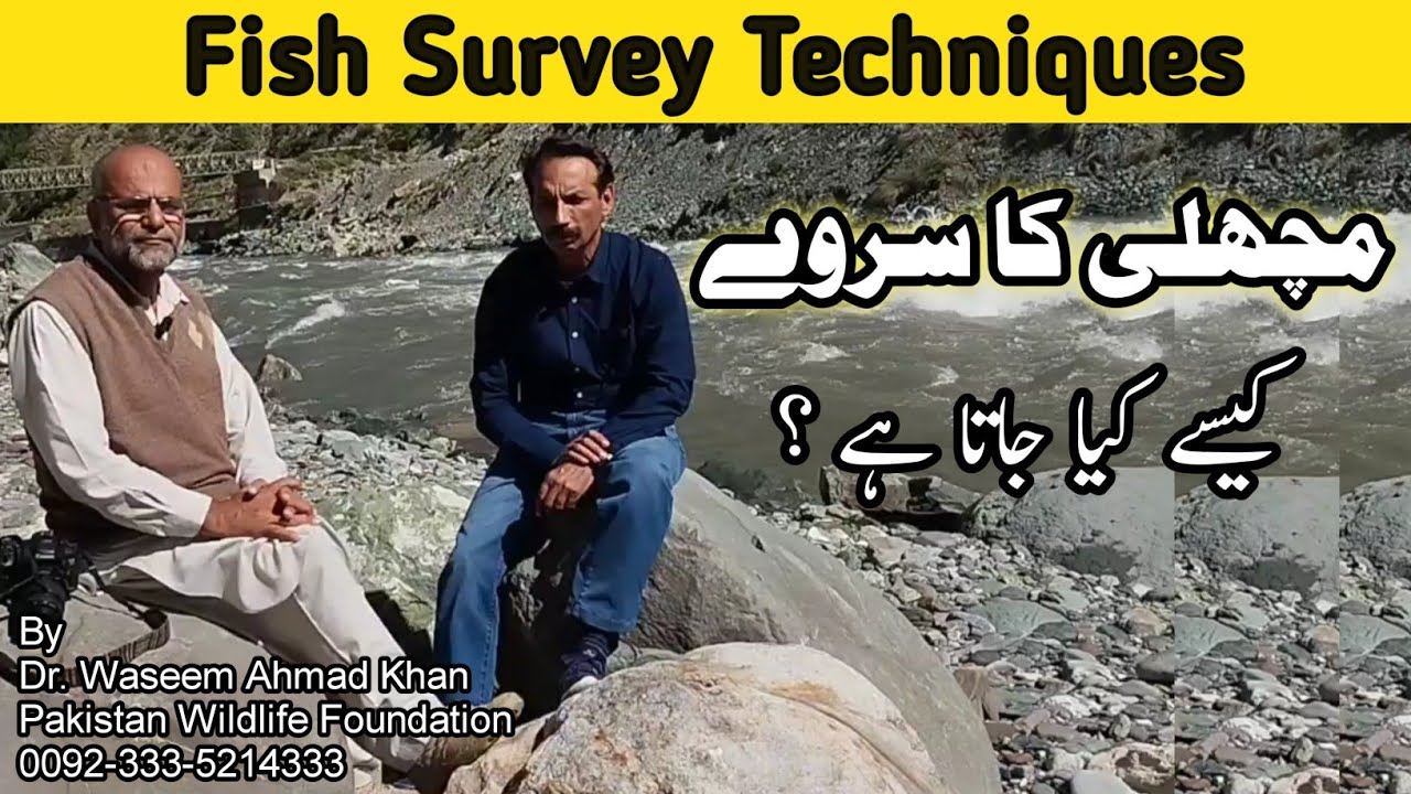 How is A Fish Survey Done | Techniques to Perform A Fish Survey ...