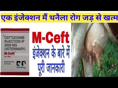 Thanaila rog ko khatam kerne wala injection | M-Ceft injection ...