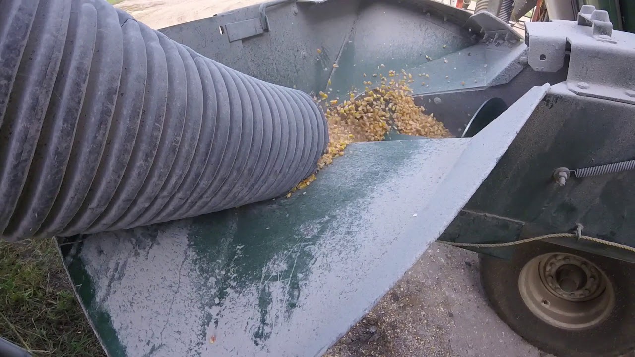 grinding pig feed - YouTube