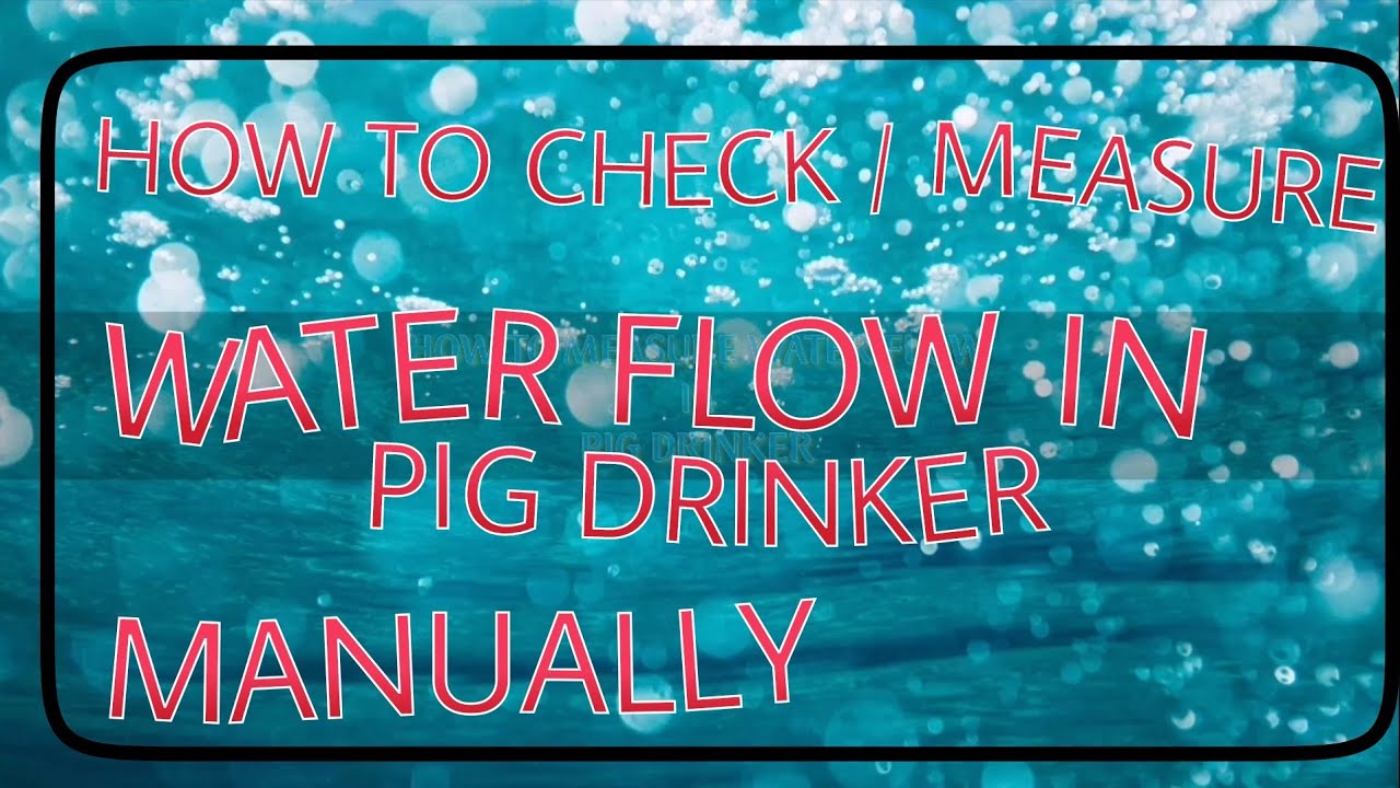 HOW TO CHECK / MEASURE WATER FLOW IN PIG DRINKER MANUALLY - YouTube