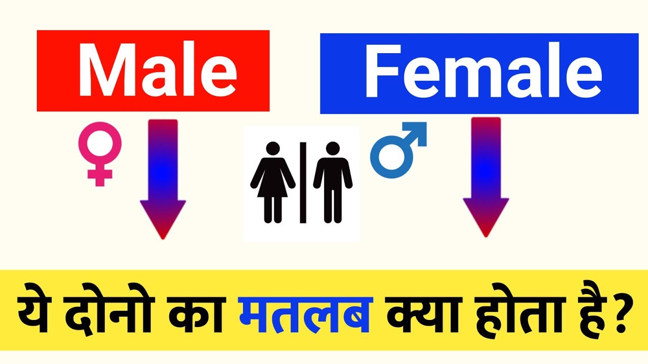 male female ka matlab kya hota hai | male female main kya select Kare ...