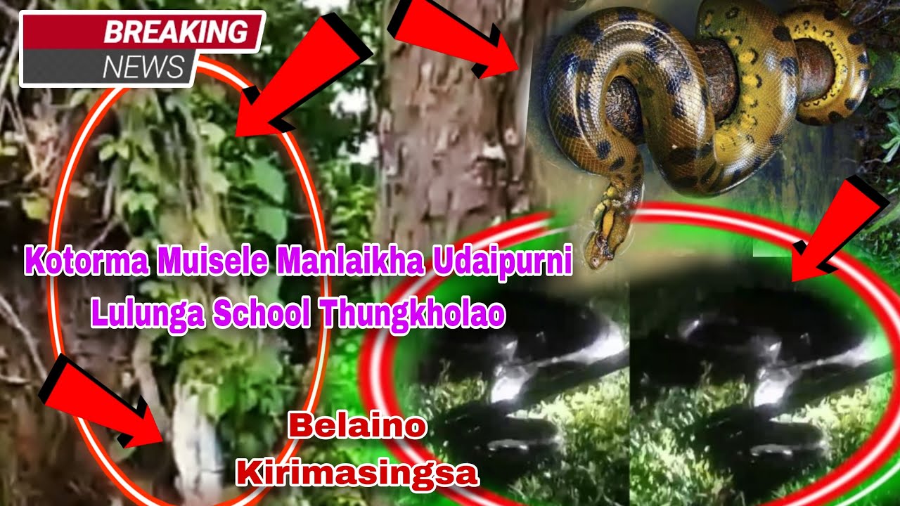 Chibuk Muisele Kotorma Manlaikha Udaipurni Lulunga School Thungkholao ...