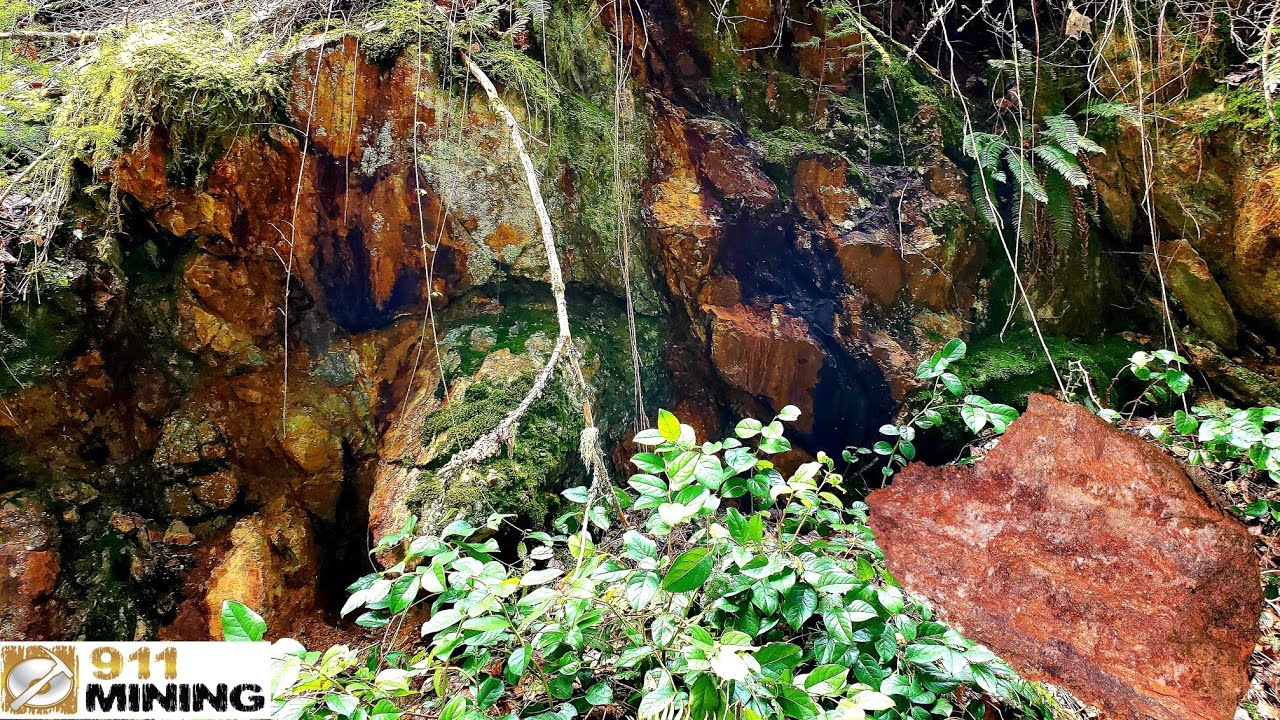 Extremely Mineralized Gold Bearing Rocks Found In Woods Above Gold ...