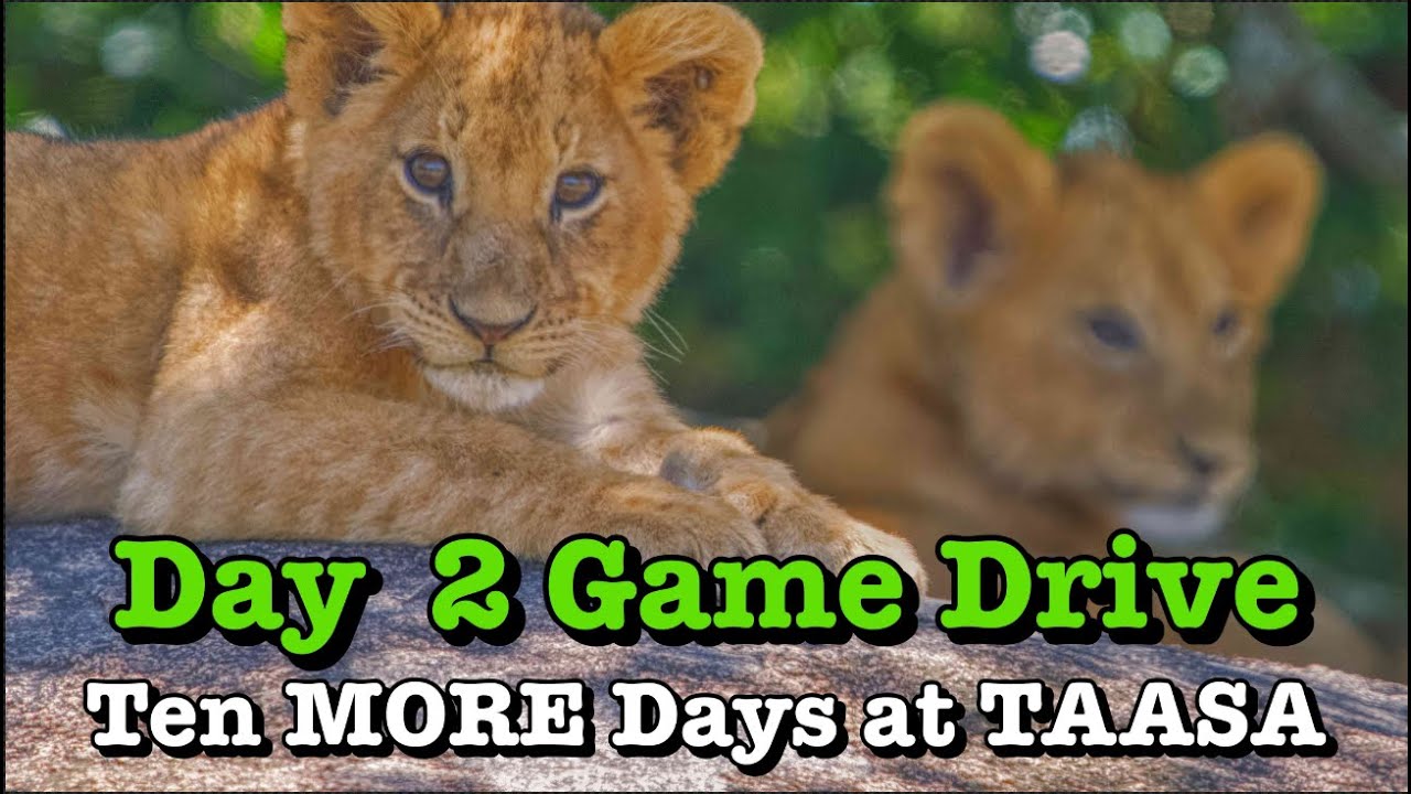 Ten More Days at TAASA - DAY 2 - Full Day Safari - YouTube