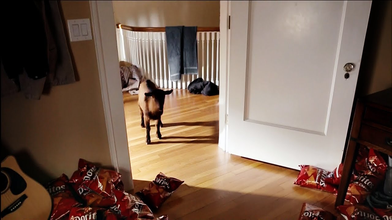 Goat Doritos Super Bowl Commercial | 2-3-13 - YouTube