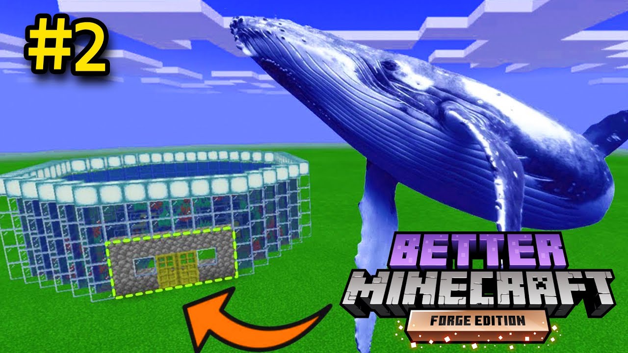 Minecraft Whale