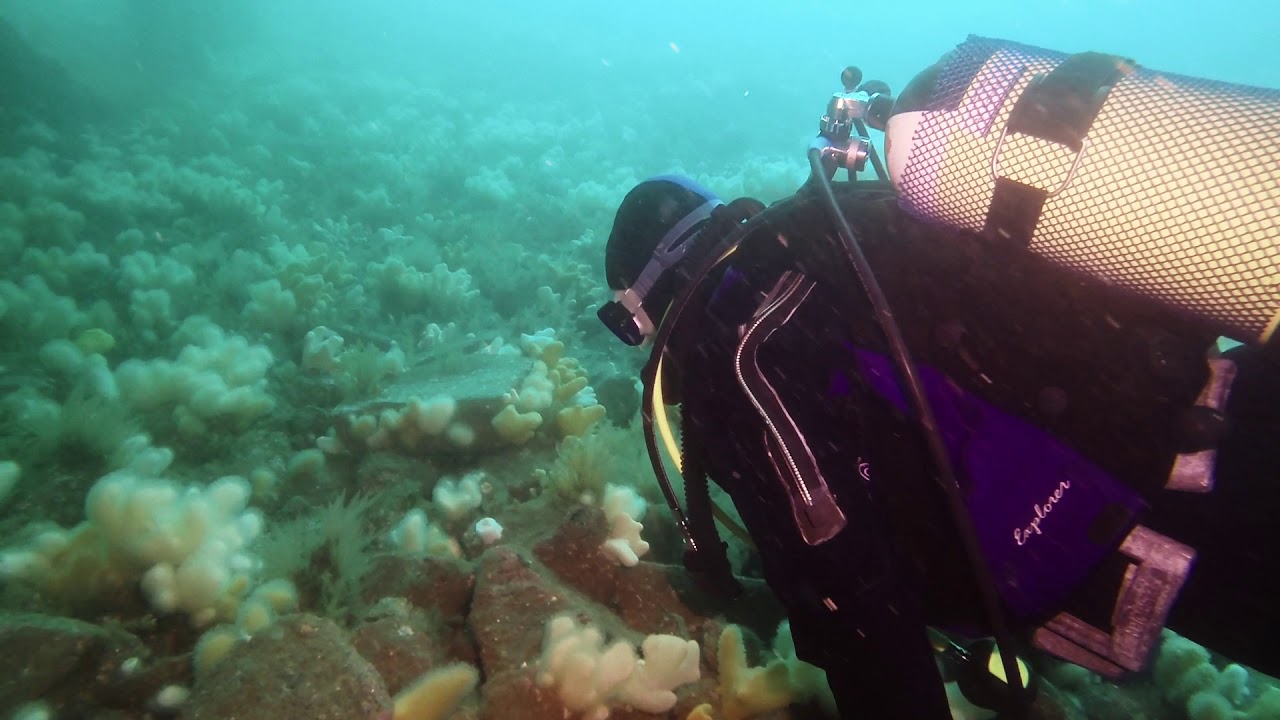 #DiscoverUKdiving Gerry Allen - YouTube