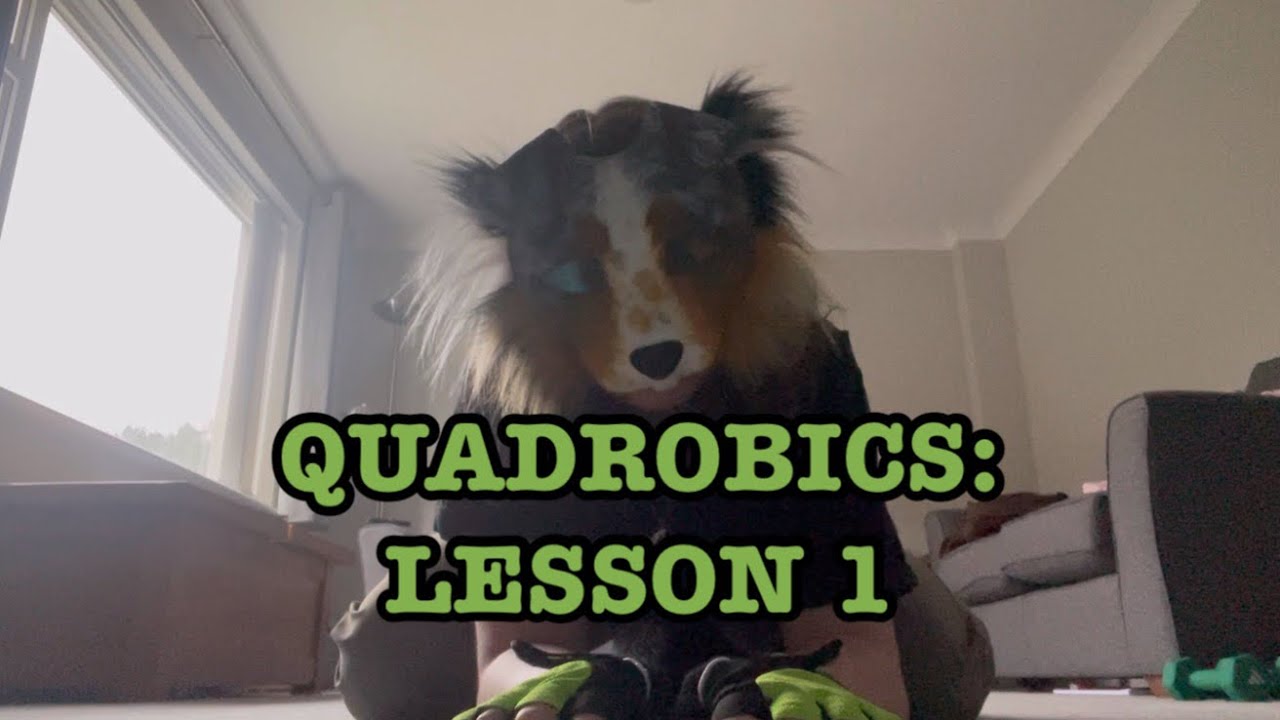 QUADROBICS: LESSON 1 🐾 - YouTube