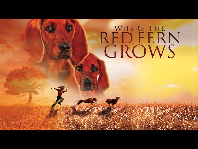 Where The Red Fern Grows Movie Poster