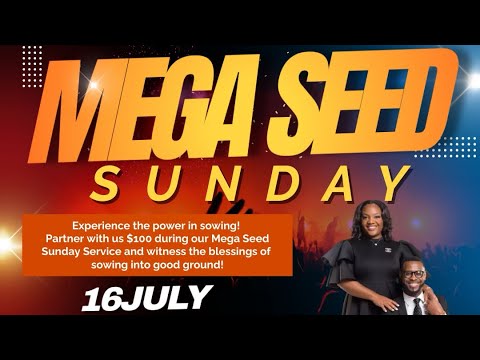 It’s Mega Seed Sunday ️ - YouTube