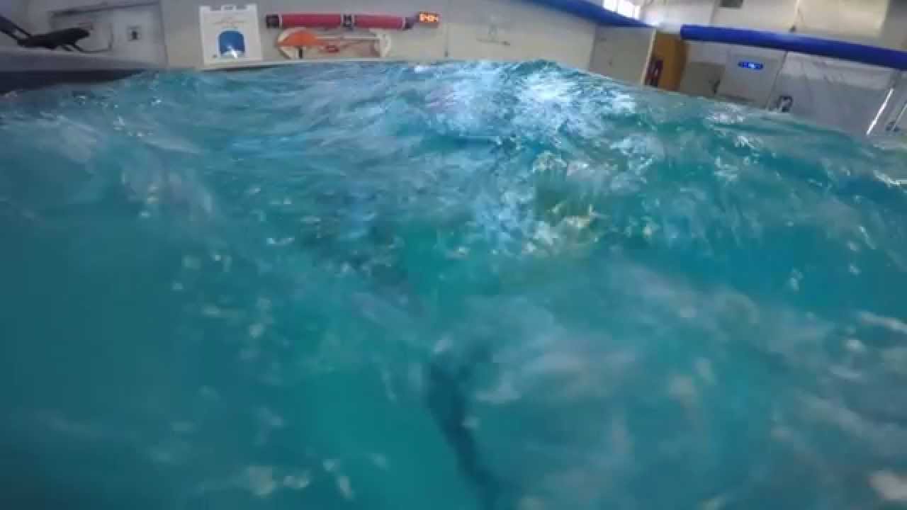 Mermaid/Merman swim school. World of Swimming - YouTube