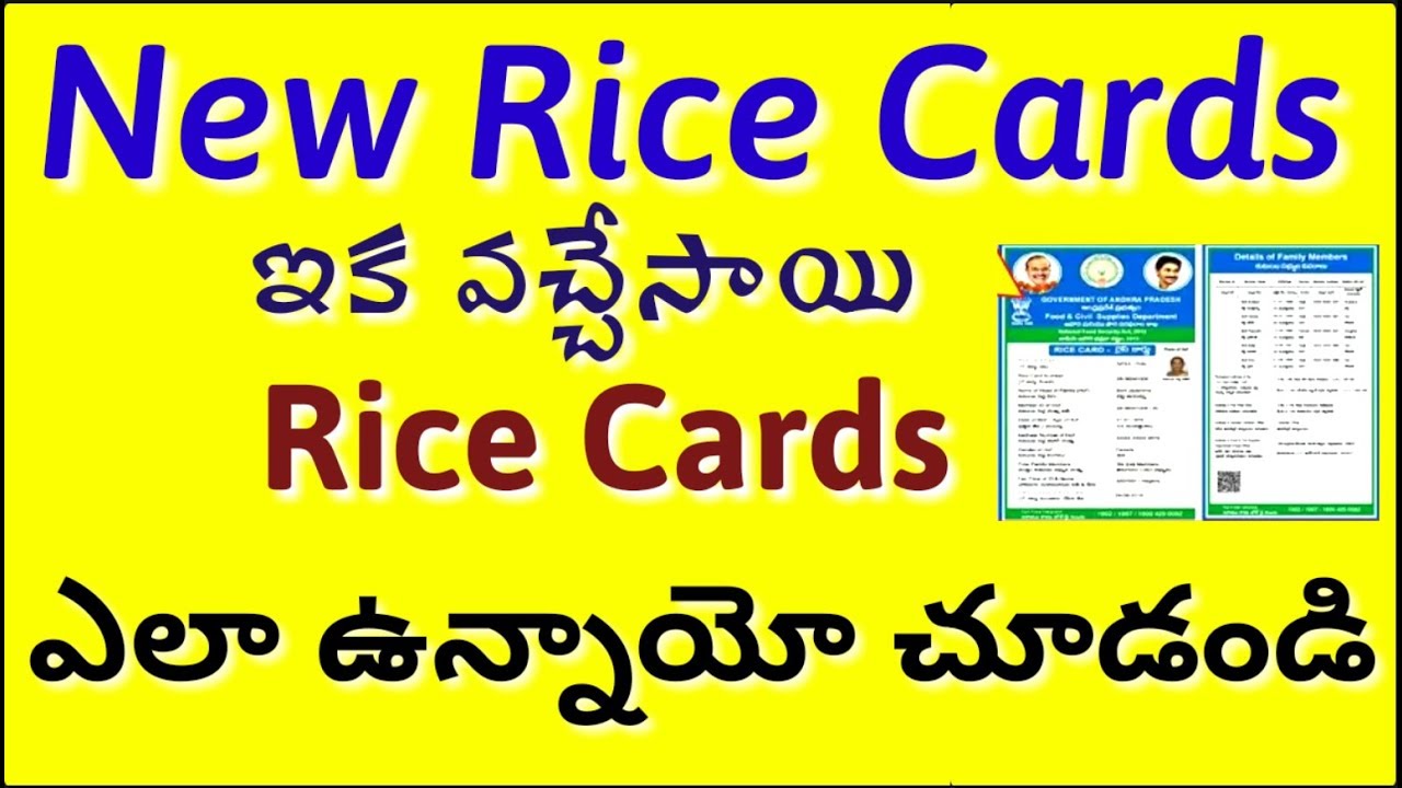 AP లో New Rice Cards || AP New Rice Cards Distributed Updates 2020 ...