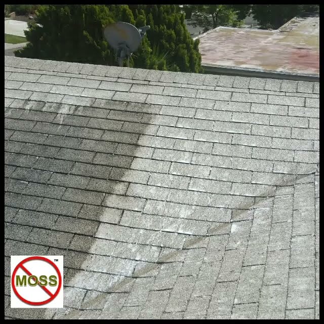 Soft Wash Roof Moss Cleaning California - No Moss - YouTube
