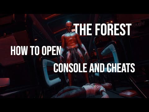 How to open console and use cheats | The Forest