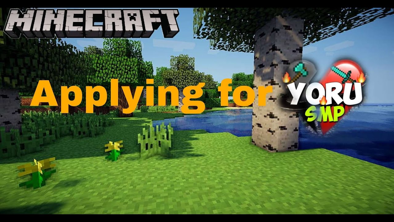 FAINALY I FOUND AMAZING SMP | APPLICATION #YORUSMP @gamingmandeer - YouTube
