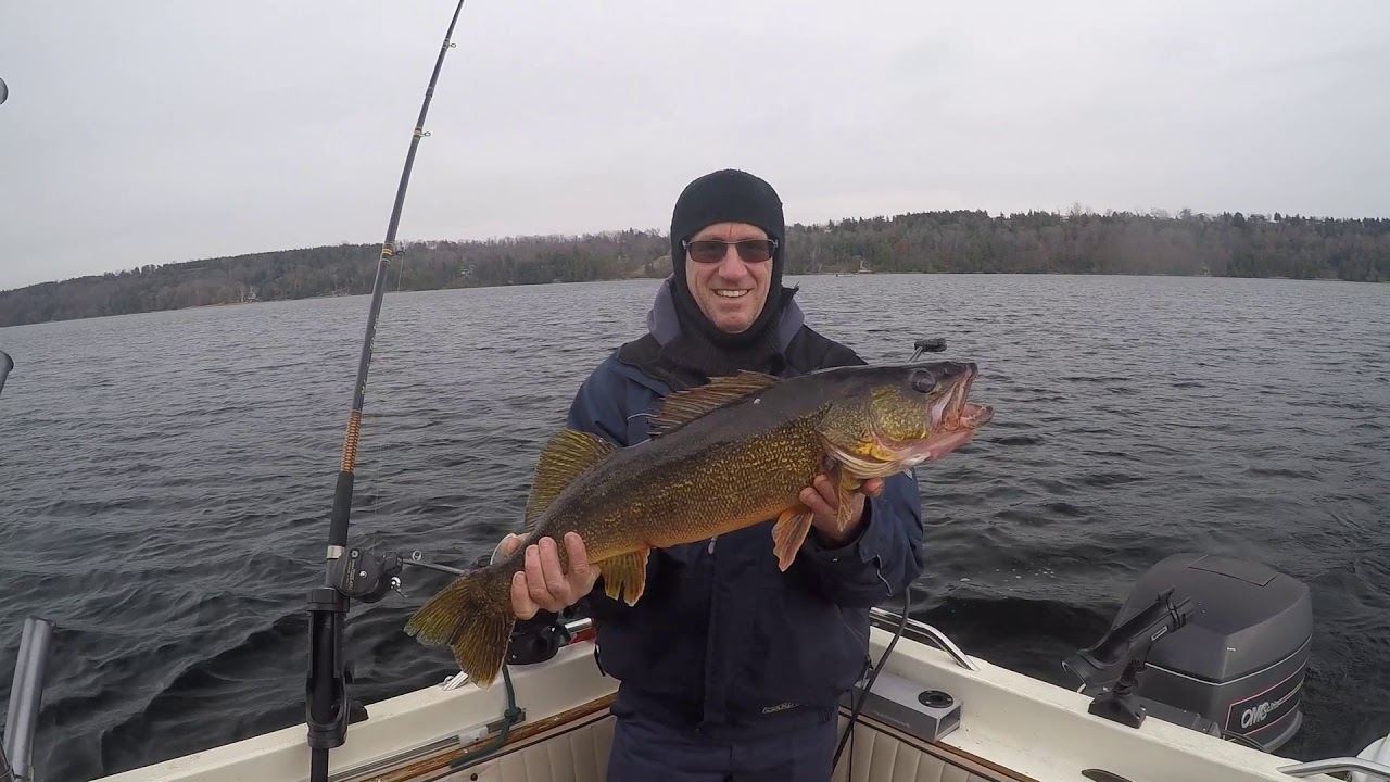 walleye wednesday - YouTube