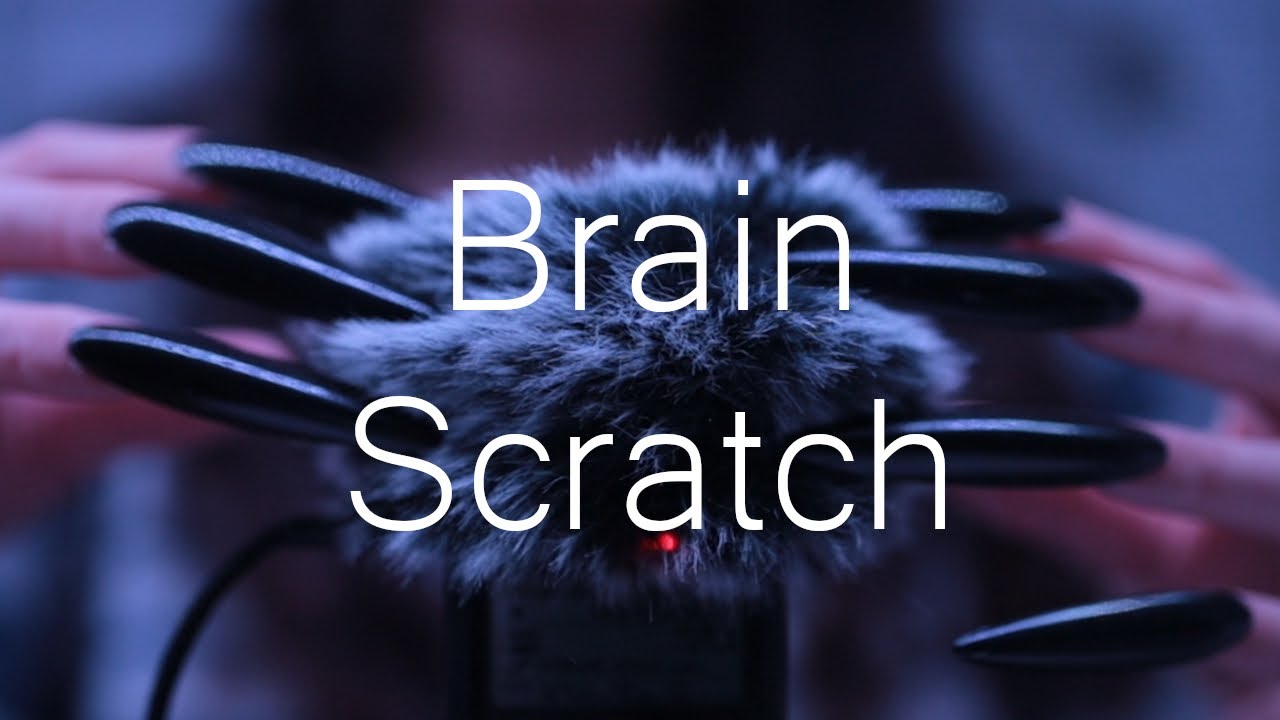 ASMR Deep Brain Scratch [No Talking] - YouTube