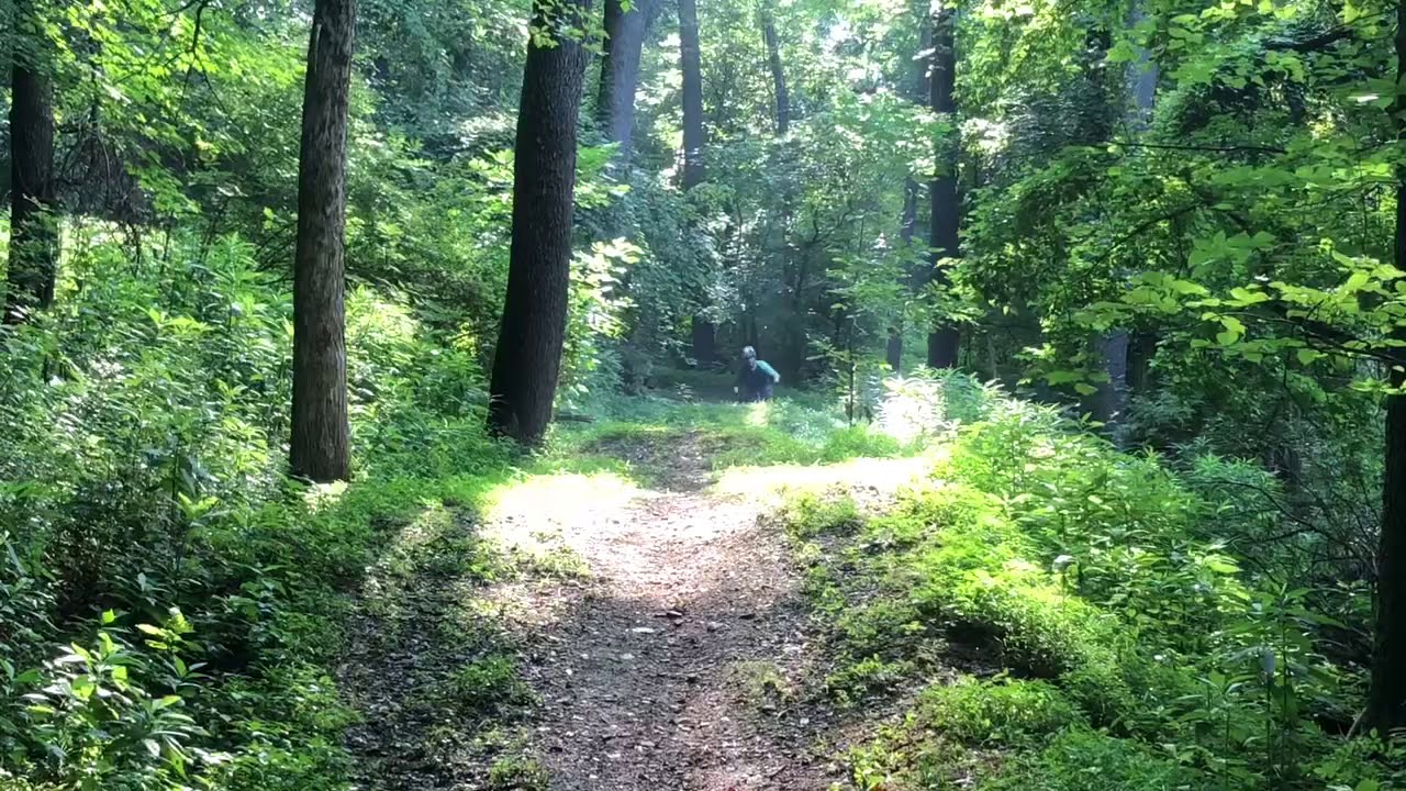 Ohio MTB-Chestnut Ridge Flory Park Horn’s Hill - YouTube