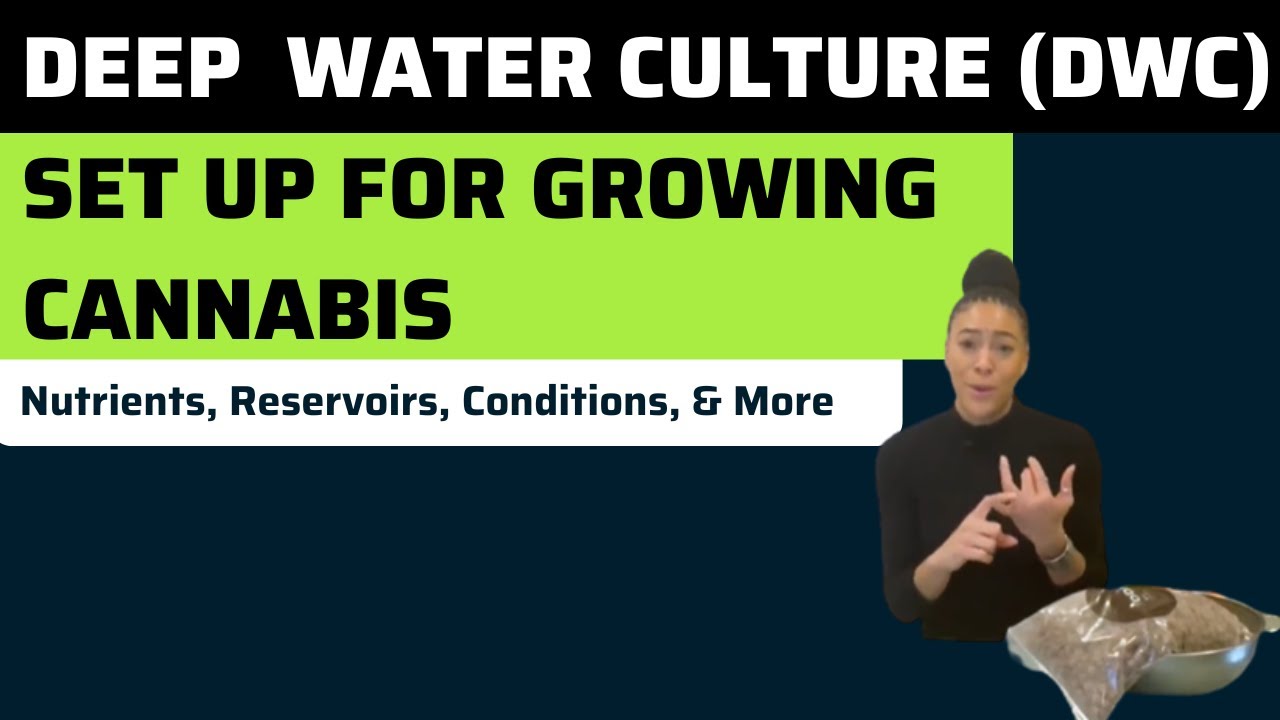 Episode 7: Deep Water Culture (DWC) - Set Up For Growing Cannabis - YouTube