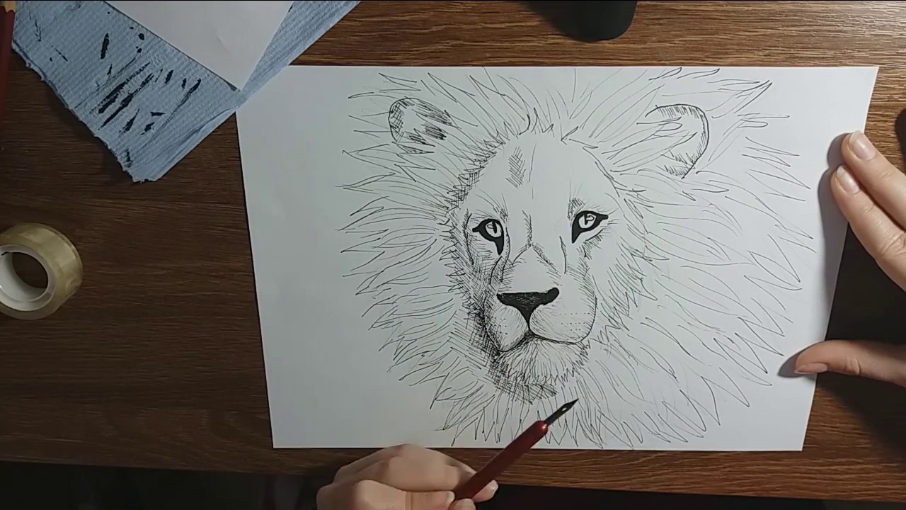 Lion DRAWING in Pen & Ink - How to draw a LION using pencil - Desen cu ...