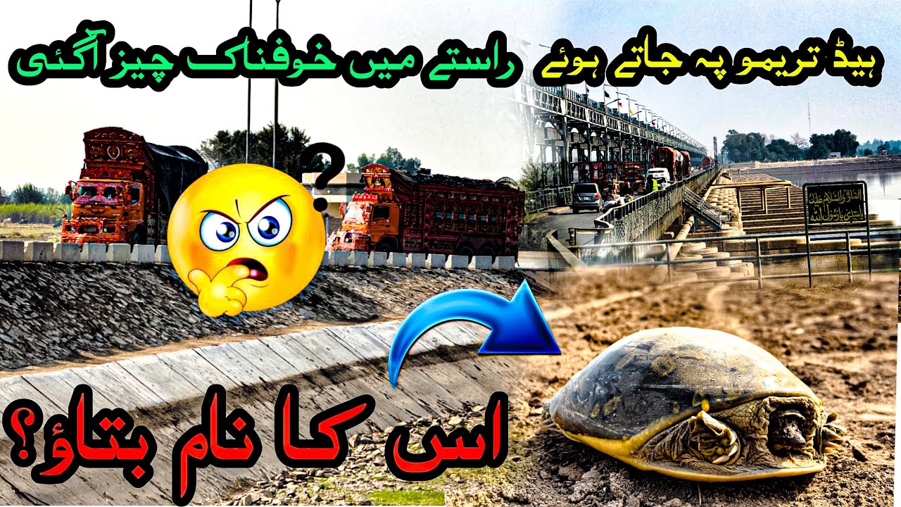 Head Trimmu Barrage Jhang| visit Beautiful View Trimmu Head| Ustad ...